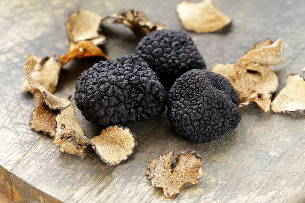 Truffe noire : comment la choisir et la cuisiner